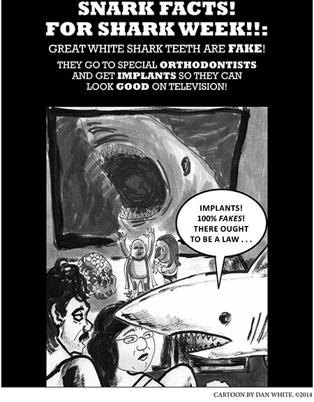 Snark Alley: Shark Week, The Next Generation - Nyack News & Views