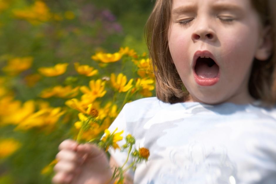 How to Beat Seasonal Allergies - Nyack News & Views