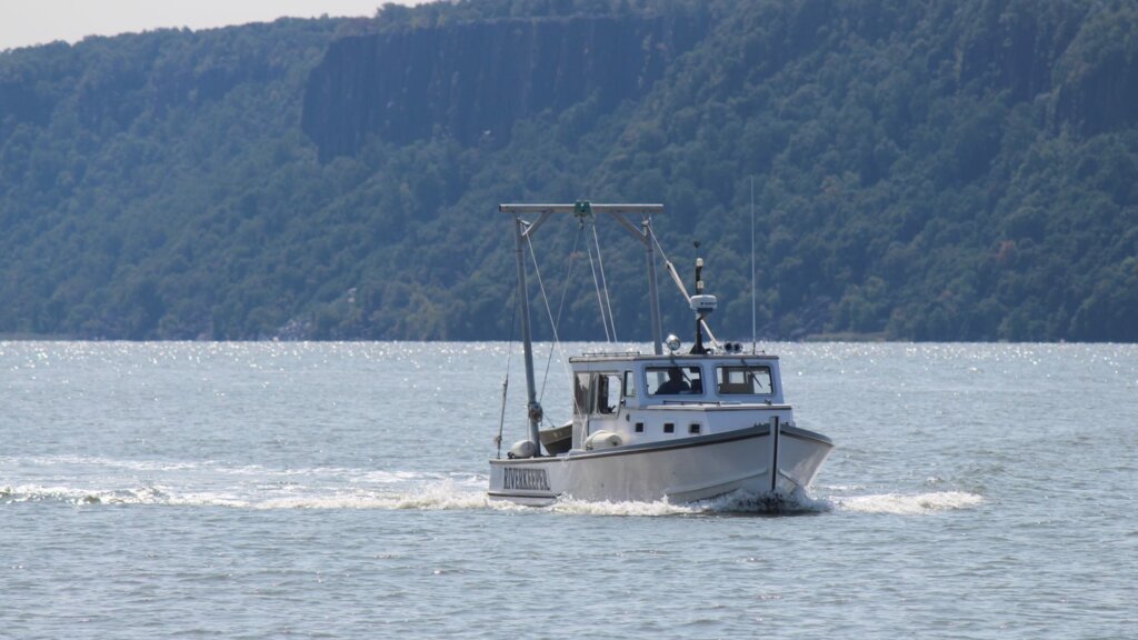 Earth (Day) Matters: Why Can't We Eat Hudson River Fish? - Nyack News ...