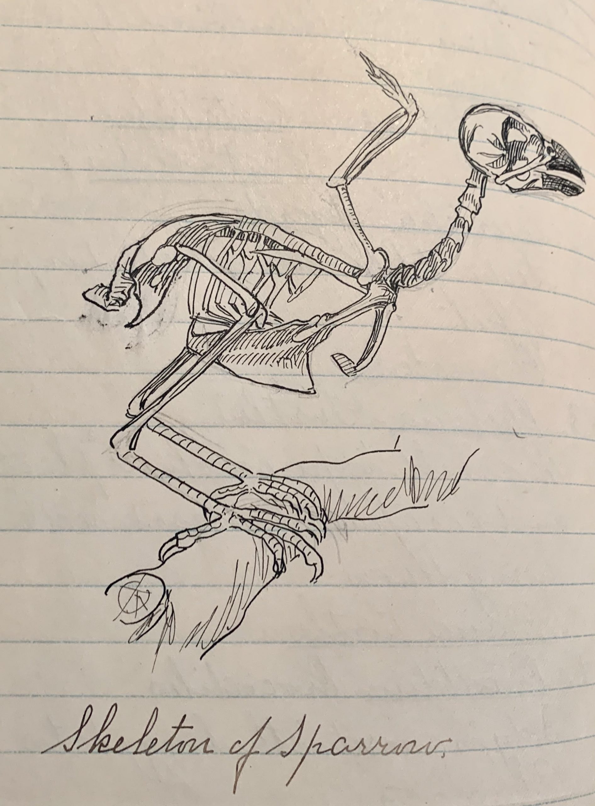 Dispatches from the Edward Hopper Archive: Flight - Nyack News & Views