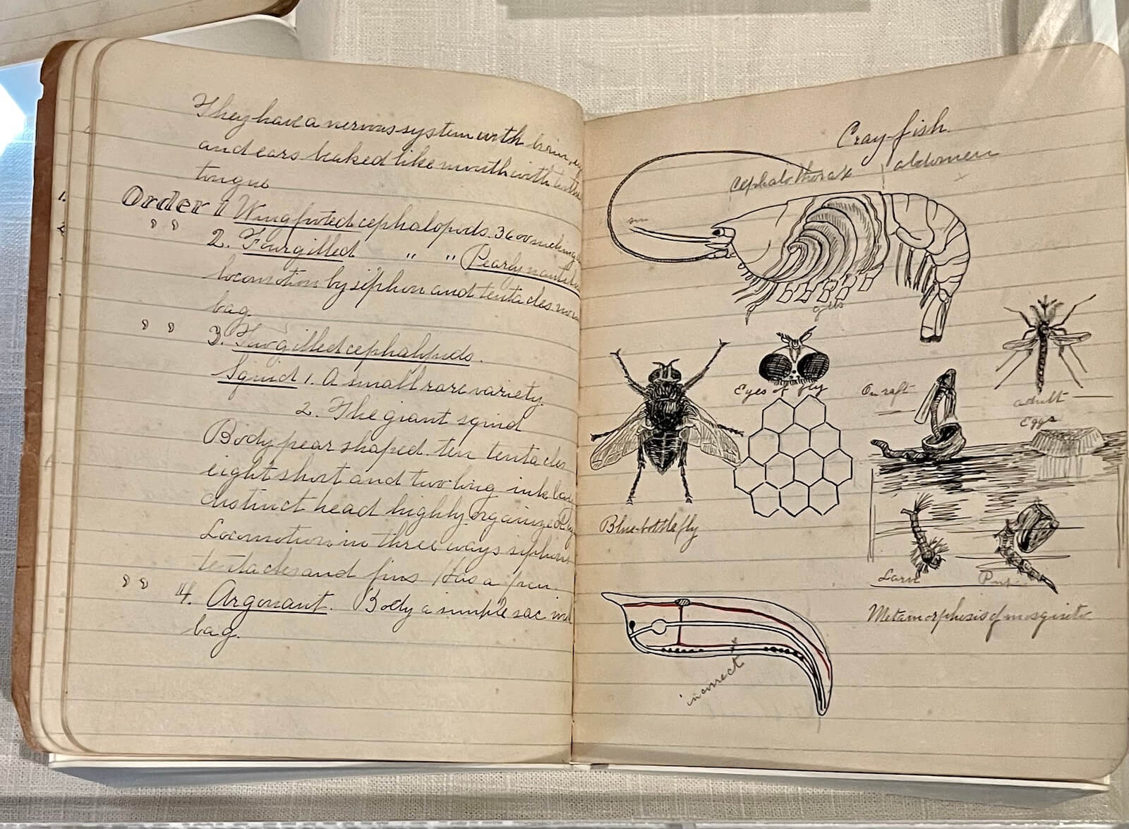 What Made Edward Hopper America’s Greatest Painter? - Nyack News & Views