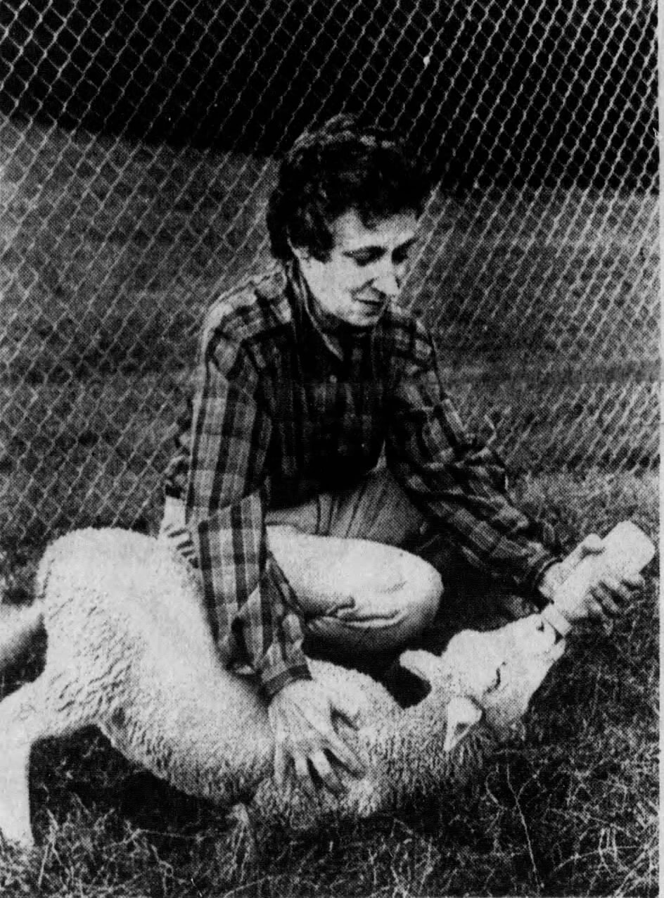 The Winding Saga of River Hook - Nyack News & Views