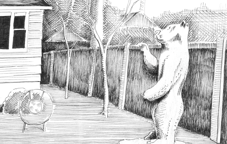Nyack Sketch Log: The Bear - Nyack News & Views